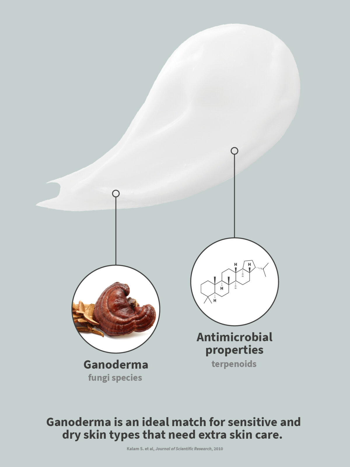 Intensive Cream ~ RSL Revolutionary Labs