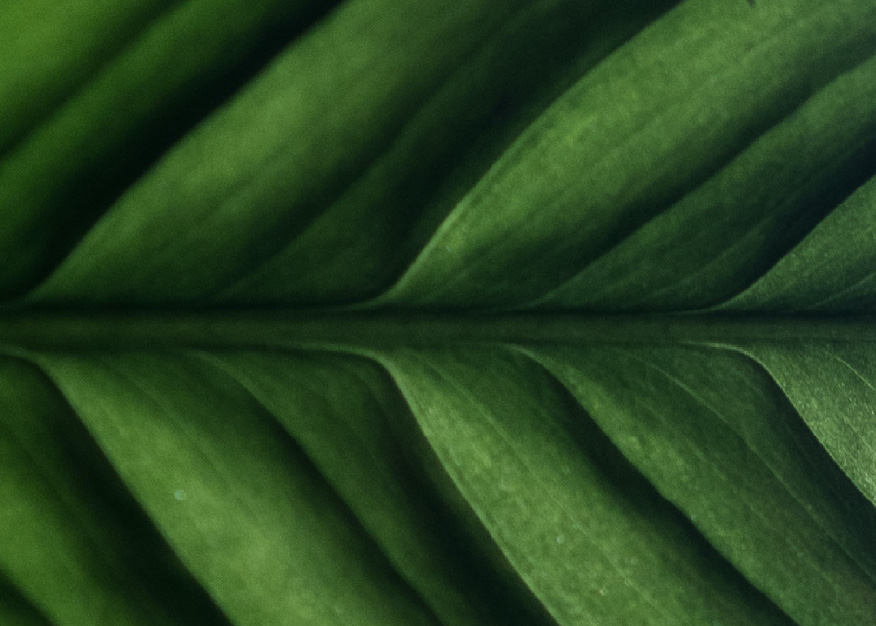 RSL Labs ~ euSKIN products ~ Dermaceutical solutions