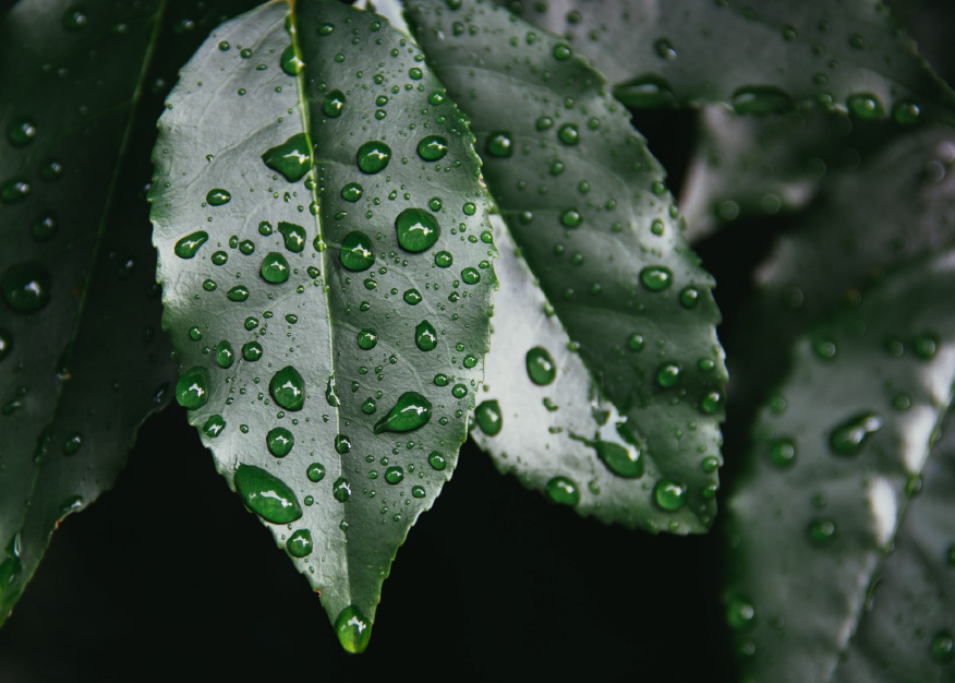 RSL Labs ~ euSKIN products ~ Dermaceutical solutions